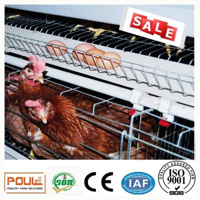 China Battery Layer Chicken Cage Poultry Automatic Equipment Ventilation System for sale