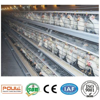 China Automatic a Type  Layer Chicken equipment system Battery Cage Galvanized Multi-Tier for sale