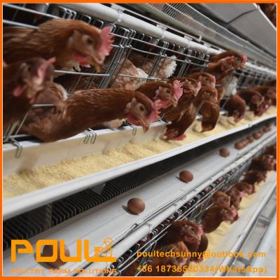 China Hot Sale High Quality Poultry Farm Chicken Layer Cages automatic cage system with Low Price for sale