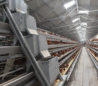 China Galvanized Chicken Breeding Farm Machinery Battery Layer Cage for sale