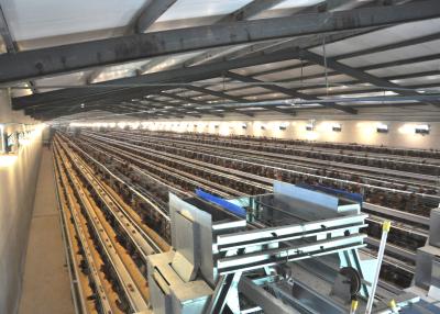 China Layer Chicken Cage Raising Equipment for Layer Chickens House for sale