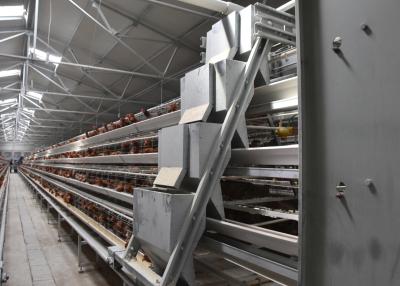China Best Price Galvanization Automatic Layer Cage Poultry Equipment System for sale