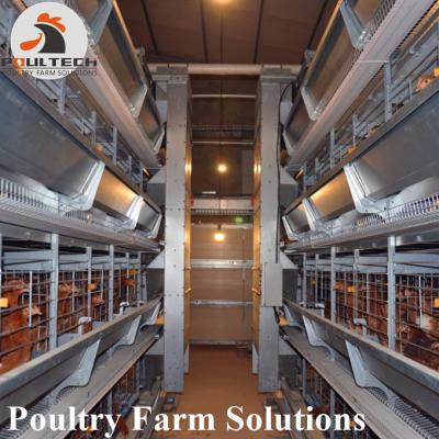 China Poultry Fram Large Capacity Layer Chicken Cage with ISO9001 for sale