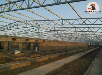 China chicken layer battery cage system with automatic feeding drinking machine for sale