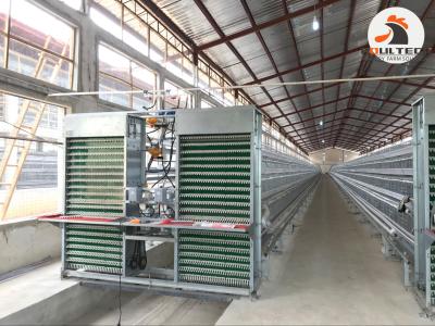 China 3-4 Tiers Good Price Automatic Poultry Farm Equipment Layer Chicken Battery installation in Nigeria for sale