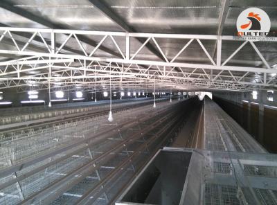 China Automatic Layer Chicken Cage Equipment Poultry Farm in Pakistan Hot Galvanized Fully for sale