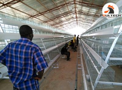 China Poultry Farm Livestock Automatic Chicken Layer Cage System hen cage farm cage for sale