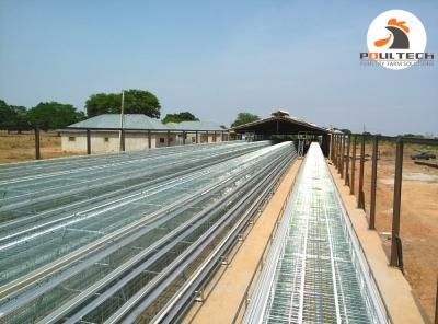 China Layer Hen Chicken Cage Hold 90, 120, 160 Bird Each Set with automatic machine for sale