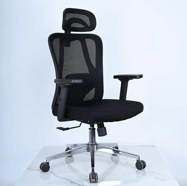 Quality Executive Ergonomic Office Chair with 2D Armrest / 2D Back Lumbar Part for sale