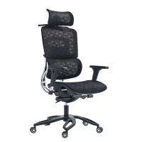 Quality Aluminium Ergonomic Lumbar Support Office Chair with High Back for sale