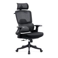 Quality CEO Aluminium Ergonomic Office Chair with High Back 3D Lumbar Support for sale