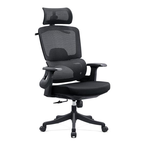 Quality CEO Aluminium Ergonomic Office Chair with High Back 3D Lumbar Support for sale