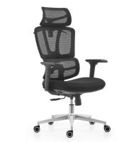 Quality Executive High Back Ergonomic Mesh Office Chair Revolving With Chrome Leg for sale
