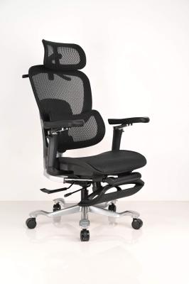 China Ergonomic Mesh Office Chair with 5D Adjustable Armrest Aluminum Base and 5 Years Warranty for sale