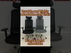 CEO Swivel Mesh Office Chair With Adjustable Headrest