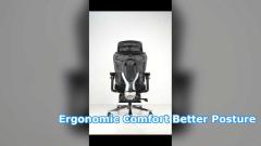WS-100 Mid Trim ergonomic chair