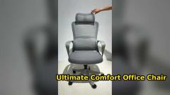 Staff office chair with lumba