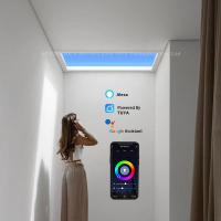 China 110V Smart Artificial Daylight Window with 30° Beam Angle and 60x60cm Nanopanel for Natural Sunlight Simulation for sale