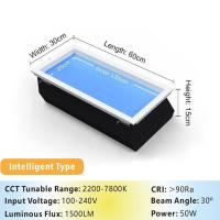 China Tuya Smart Artificial Skylight Panel 40W 600x300mm Dynamic Sky Effect Sunlight Simulation for Ceiling for sale