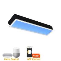 China RY1230 100W Artificial Skylight LED Panel - 120x30cm Blue Sky Simulation with 30° Beam Angle for sale