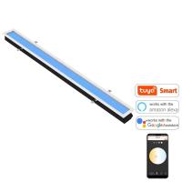 China RY801150 LED Artificial Skylight Panel 120.6x30.6cm with Smart Control and 30° Sunbeam Projection for sale