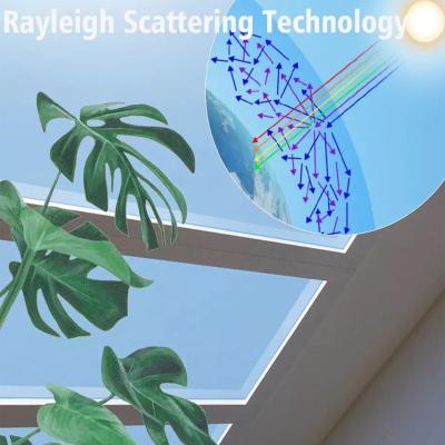 중국 무선 110V 인공 일광 창 30도 다중 장면 판매용