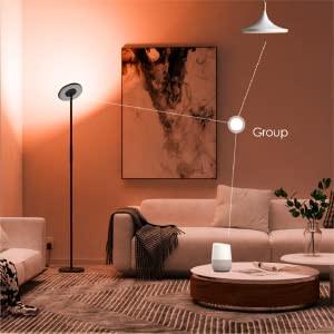China CCT 2700K-5000K RGB Corner Floor Lamp Alexa Voice Control 24V Dimmable for sale