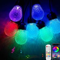 China 48ft RGB Outdoor LED String Light DC12V 15 Bulbs Bluetooth App Control IP65 Waterproof for sale