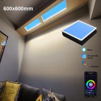 China LED Ceiling Panel Light 600x600mm 150W 5000LM AC100-240V Therapy Lamp for sale