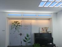 China RYOPT Artificial LED Skylight 30° Light Direction 3000K-6000K AC110-230V Wide Coverage for sale