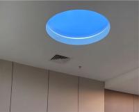 China 1185mm Visible Diameter Artificial Sunlight Panel 500W 6500K Sun Simulation with Moving Shadow for sale