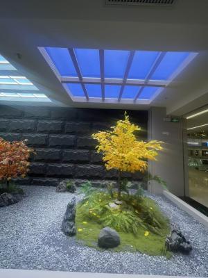 Китай 12 кг алюминиевый светодиодный уличный фонарь L600*W600*H220 мм Идеально подходит для энергосберегающего наружного освещения продается