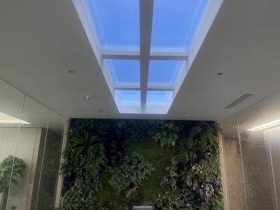 China Embedded Artificial LED Skylight for 150W Power Consumption LED Light Source and Embedded Installation Method for sale