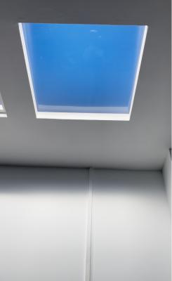 China Tragaluz LED Falso Orientación de Luz a 30 Grados Sin Parpadeo de Luz Azul Garantía de Rendimiento en venta