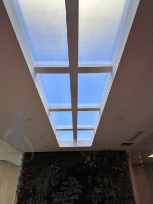 China 1200x600mm Artificial LED Skylight with Smart Control and Circadian Lighting for sale