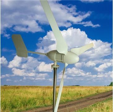 中国 24/48 V 風駆動発電機、単相正弦波 600 w 販売のため