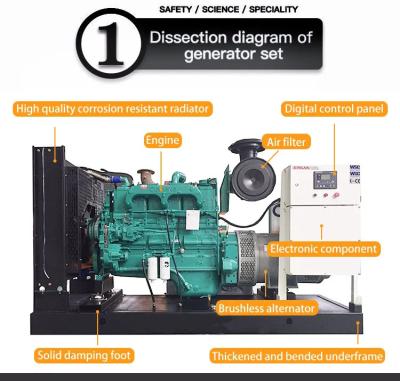 Cina Gruppo elettrogeno portatile del generatore di potere diesel calmo eccellente del generatore 20kw 25kw in vendita