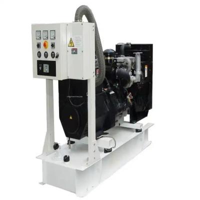 Cina 70KVA Lovol Silent Diesel Generator Can Be Used In Hospitals in vendita