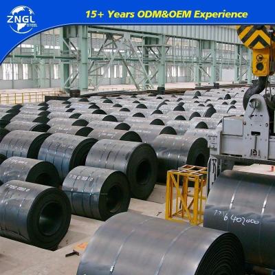 China Customized Coiled Steel Plate SS400 304 Stainless Coil Q355 En10025 for sale
