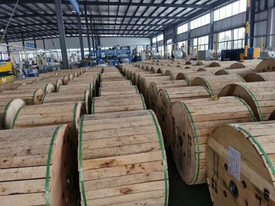 Cina Un cavo a fibre ottiche autosufficiente dei 12 centri in vendita