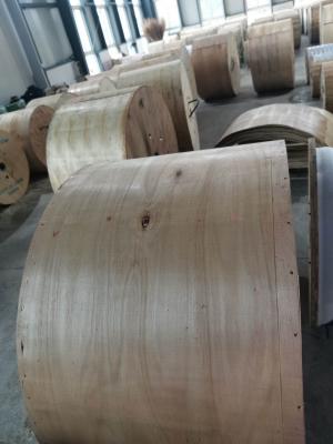 China Gepantserde Directe de Begrafenis Multimode Vezel Optische Openluchtgyxtw 12 Kernen G652D van de Staalriem Te koop