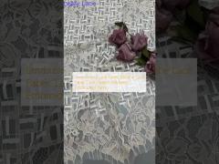 Breathe Lace Fabric Elegent Wedding Embroidery Fabric for Dress