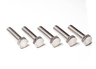 Cina 0,01 millimetri non standard che placcano la vite Bolt di acciaio inossidabile in vendita