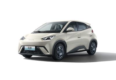 Cina 4 posti Hatchback BYD Seagull EV Full Electric Car 75 cavalli in vendita
