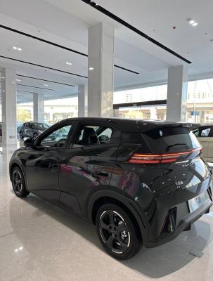 China BYD Seagull 2025 305km Vitality Edition 5-door 4-seater Small Electric Car for sale