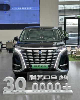 Тенгши D9 2024 EV 620KM Premium 5-дверный 7-местный MPV