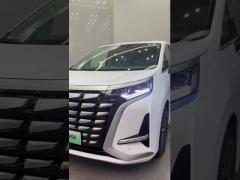 Tengshi 2024 EV 600KM Vierradantrieb Luxusmodell 5-Türer 7-Sitzer MPV