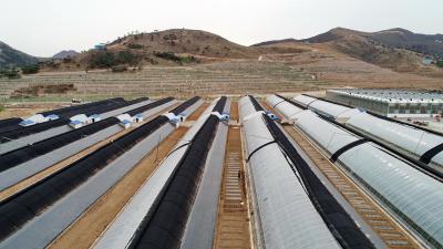 Cina Ombreggiamento, riduzione all' evaporazione dell' acqua PP non tessuto per agricoltura in vendita