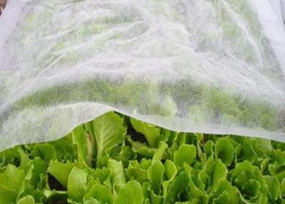 중국 PP 직물 안티프로즈 농부용 판매용