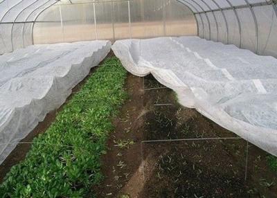 China Max 3200mm Width White Agricultural Nonwoven Fabrics Perfect for Insect Repellent and Dustproofing for sale